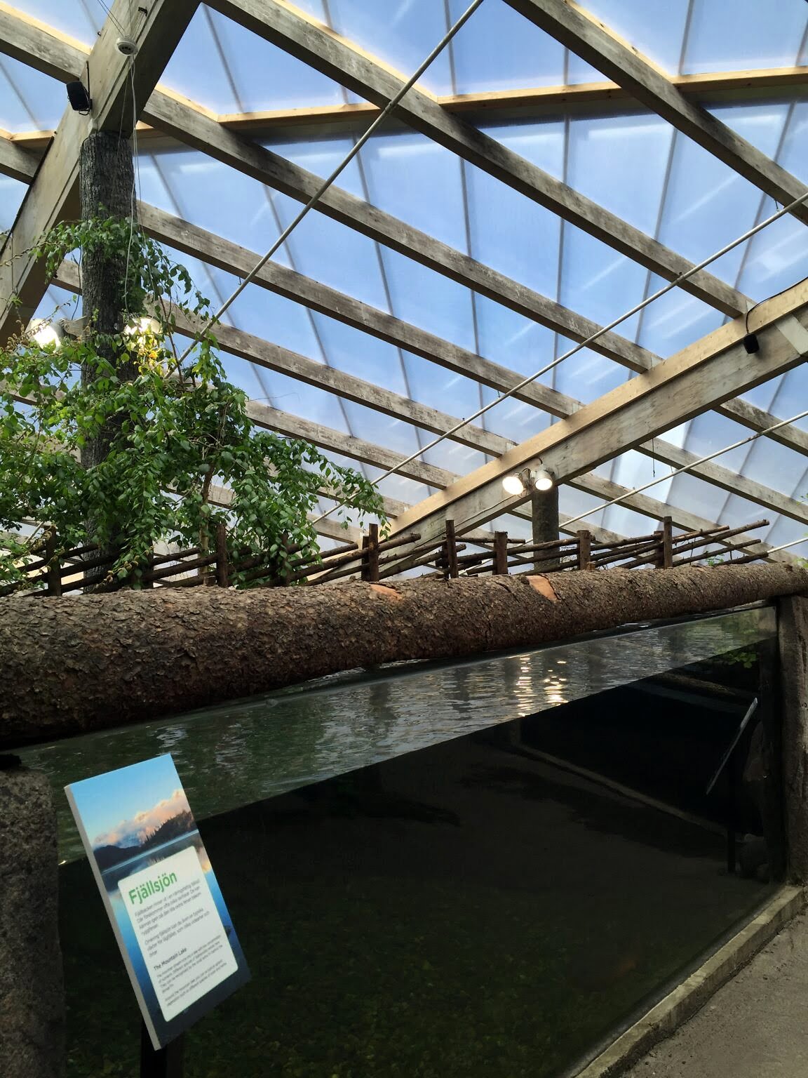 Universeum, Göteborg - Scanlight